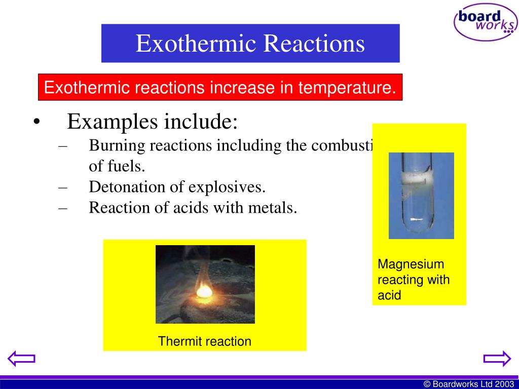 PPT - Energy Change During Chemical Reactions PowerPoint Presentation ...