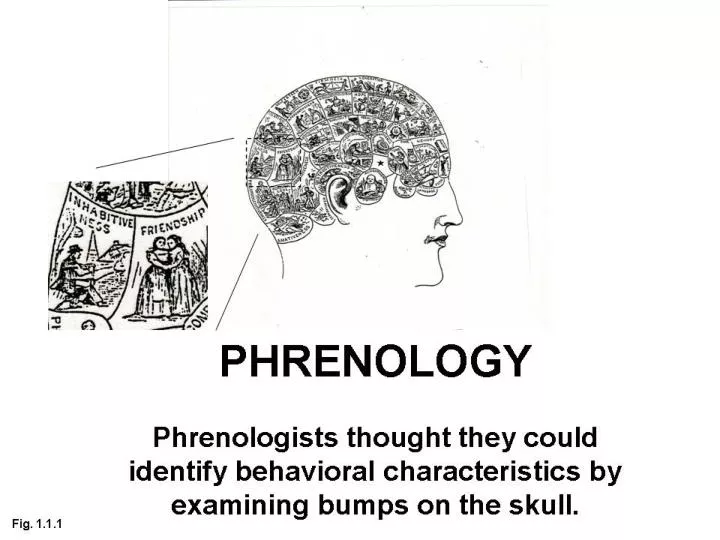 PPT - Phineas Gage Brain damage caused profound psychological changes ...
