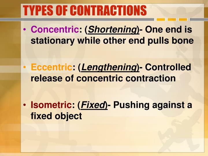 PPT - MUSCULAR STRENGTH AND ENDURANCE PowerPoint Presentation - ID:1103093