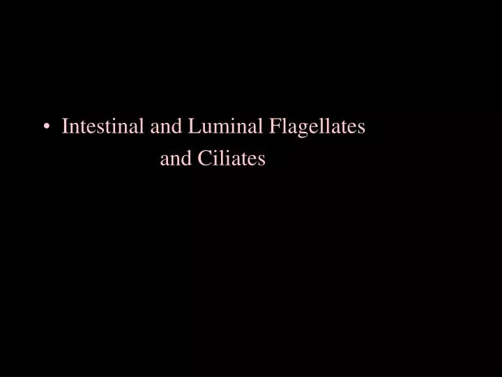 PPT - Intestinal and Luminal Flagellates and Ciliates PowerPoint ...