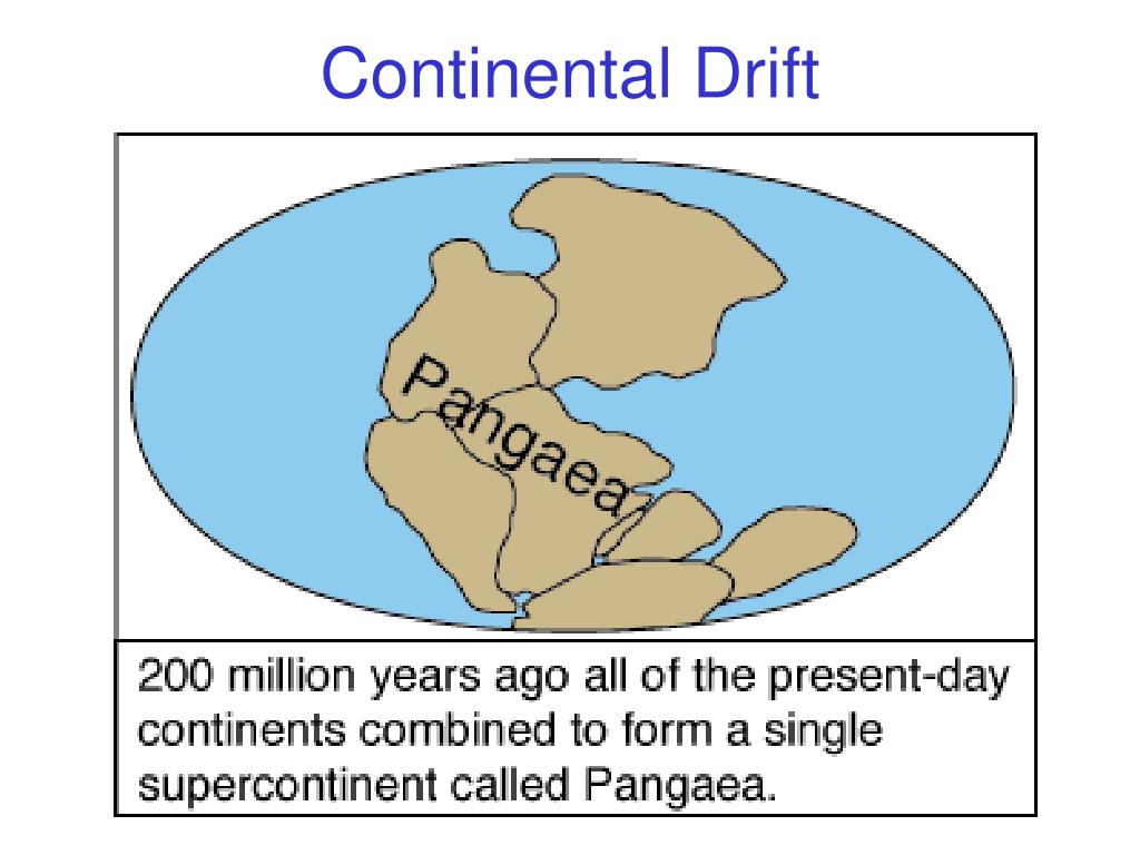 PPT Continental Drift PowerPoint Presentation Free Download ID 1103819