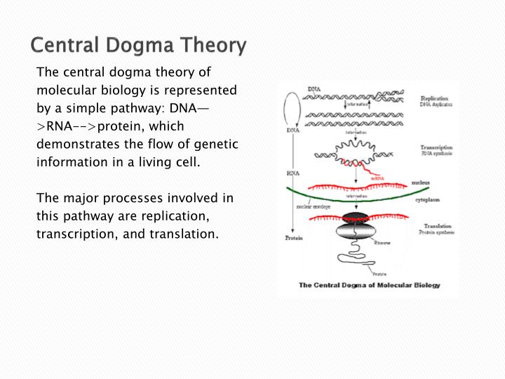 PPT - Microbial Genetics PowerPoint Presentation - ID:1103920