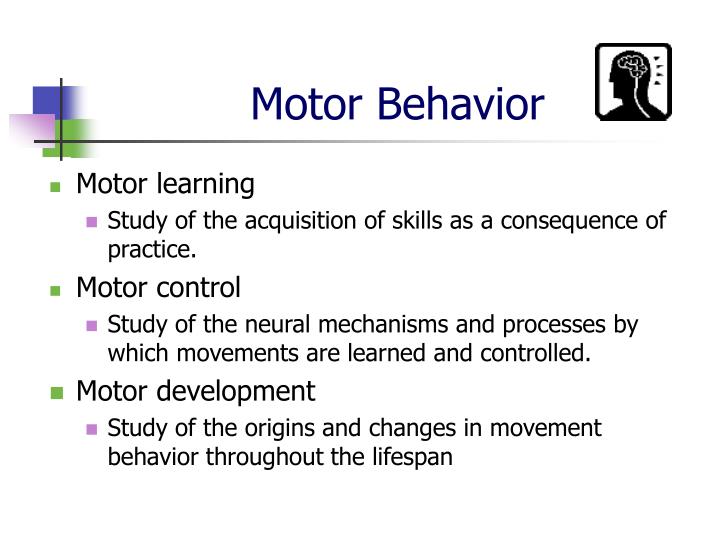 PPT - Motor Behavior PowerPoint Presentation - ID:1104025