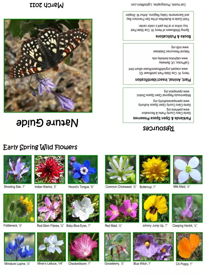 PPT - Nature Guide PowerPoint Presentation, free download - ID:1104238