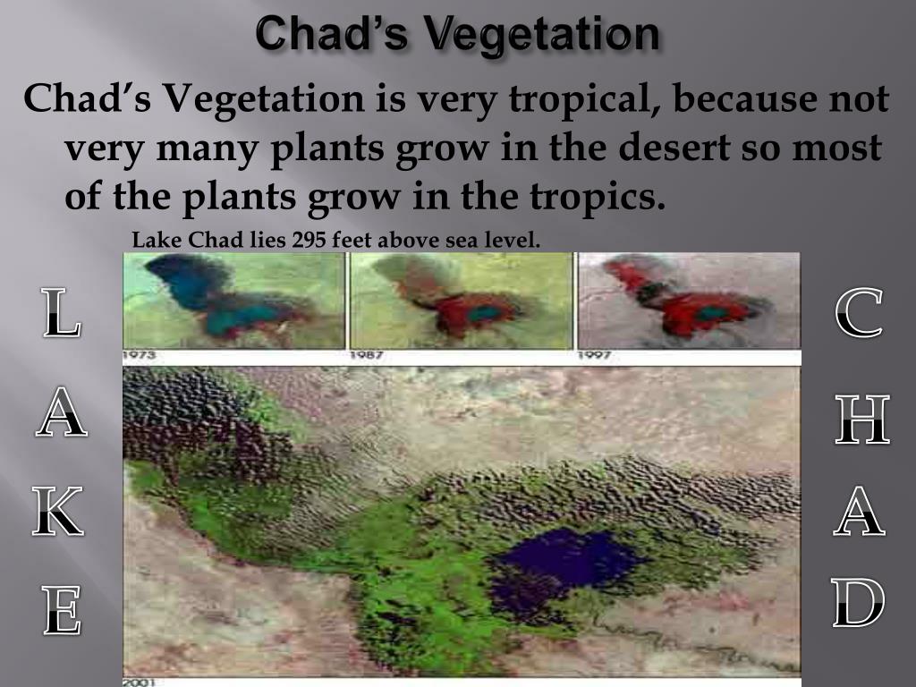 PPT - Chad’s Climate, Vegetation, Wildlife, and Natural Hazards ...