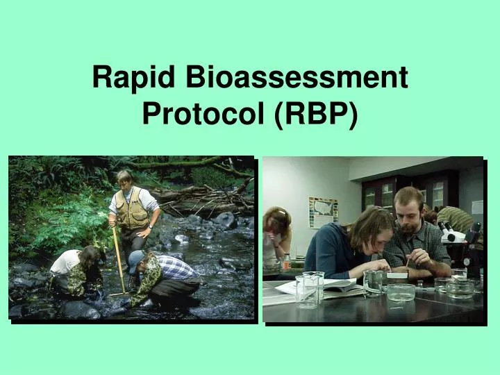 PPT - Rapid Bioassessment Protocol (RBP) PowerPoint Presentation, free ...