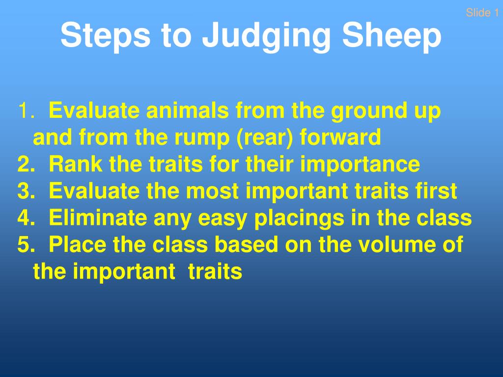 PPT - Mastering Sheep Judging: A Comprehensive Guide PowerPoint ...