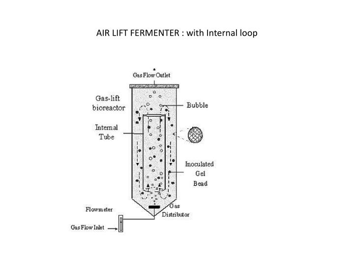 PPT - What is a Fermenter? PowerPoint Presentation - ID:1105875