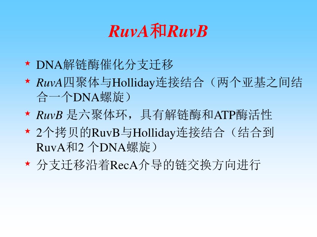 PPT - 第三十五章 DNA 重组 PowerPoint Presentation, free download - ID:1106010