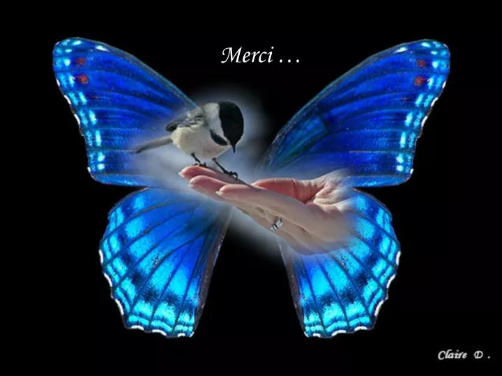 PPT - Merci … PowerPoint Presentation, free download - ID:1106457