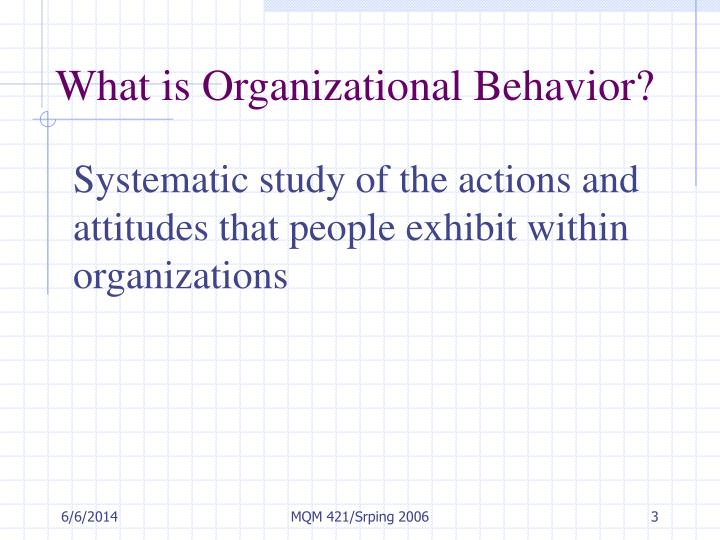 PPT - Introduction to Organizational Behavior PowerPoint Presentation ...