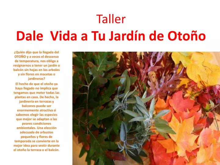 PPT - Taller Dale Vida a Tu Jardín de Otoño PowerPoint Presentation ...
