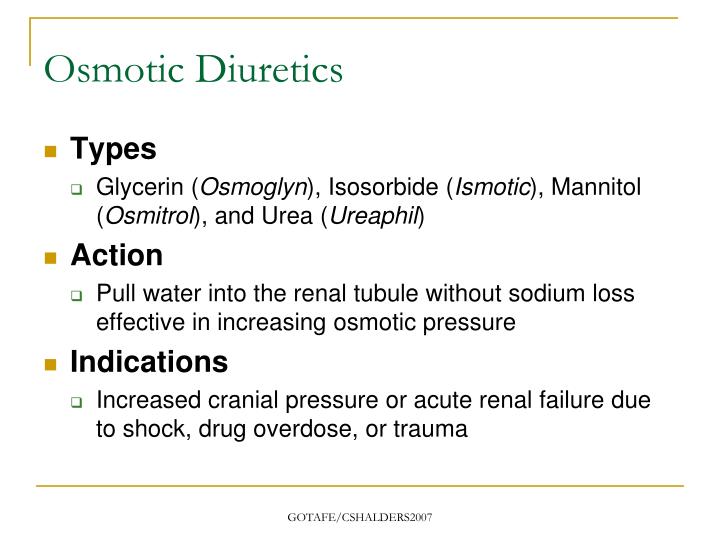 PPT - RENAL SYSTEM PowerPoint Presentation - ID:1107771