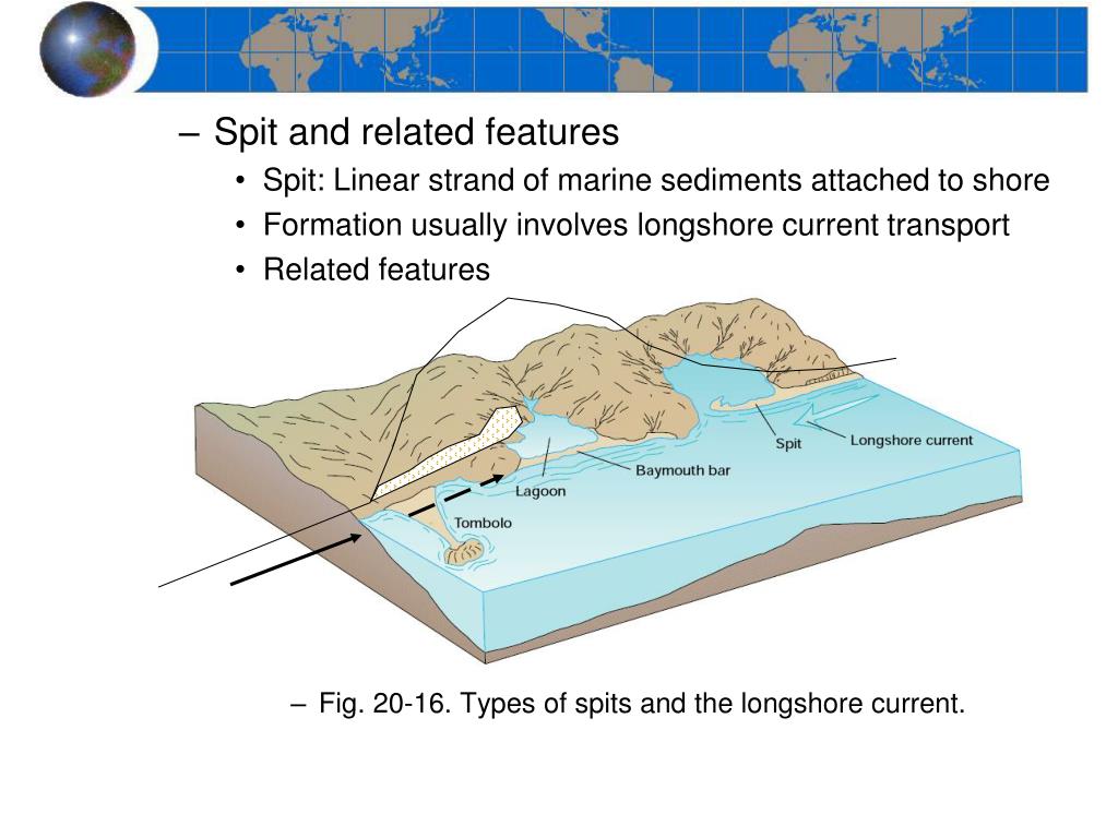 PPT - Understanding Coastal Processes: Waves, Erosion, and Landforms ...