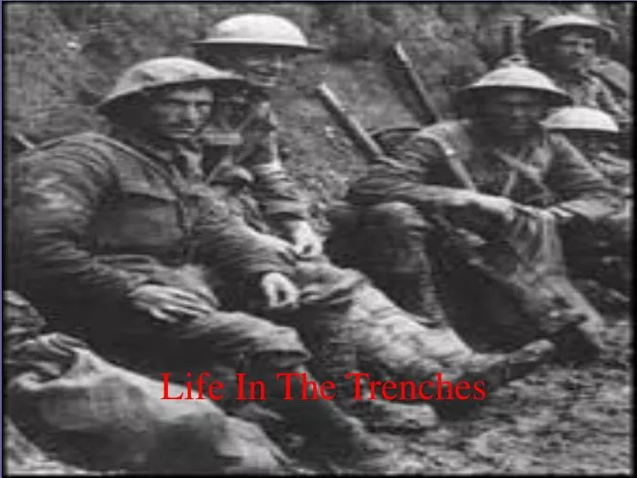 PPT - Life In The Trenches PowerPoint Presentation, free download - ID ...