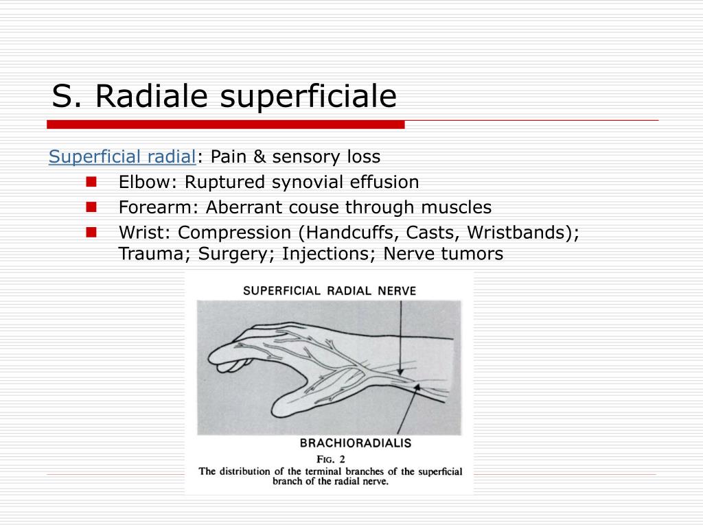 PPT - Clinica diagnostica e terapia vista dalla prospettiva neurologica ...