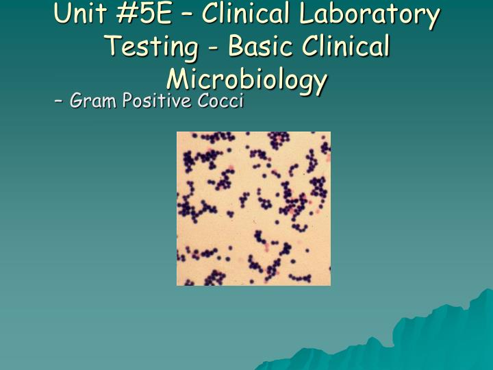 PPT - Unit #5E – Clinical Laboratory Testing – Basic Clinical ...