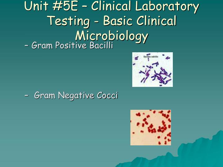 PPT - Unit #5E – Clinical Laboratory Testing – Basic Clinical ...