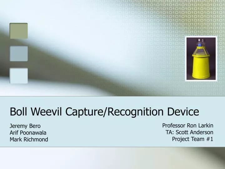 PPT - Boll Weevil Capture/Recognition Device PowerPoint Presentation ...