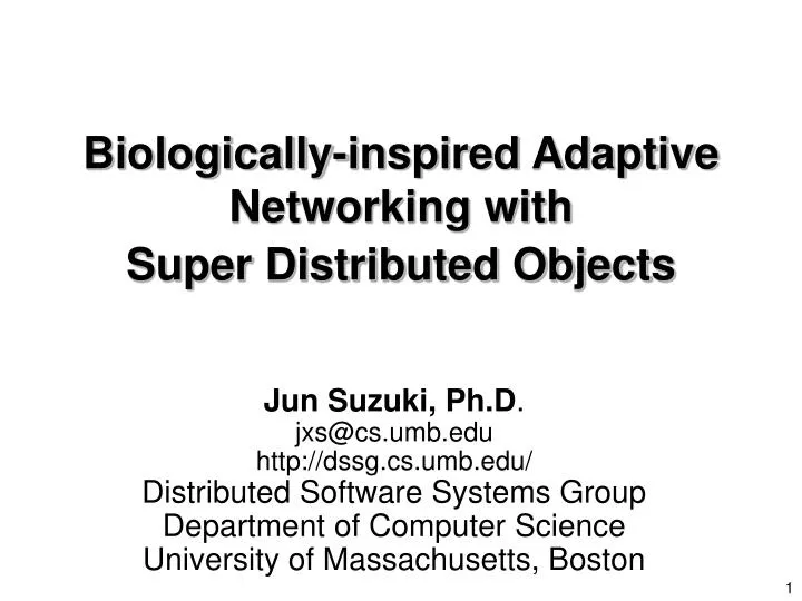 PPT - Biologically-inspired Adaptive Networking with Super Distributed Objects PowerPoint ...