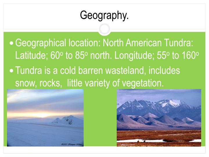 PPT - Arctic Tundra PowerPoint Presentation - ID:1109711
