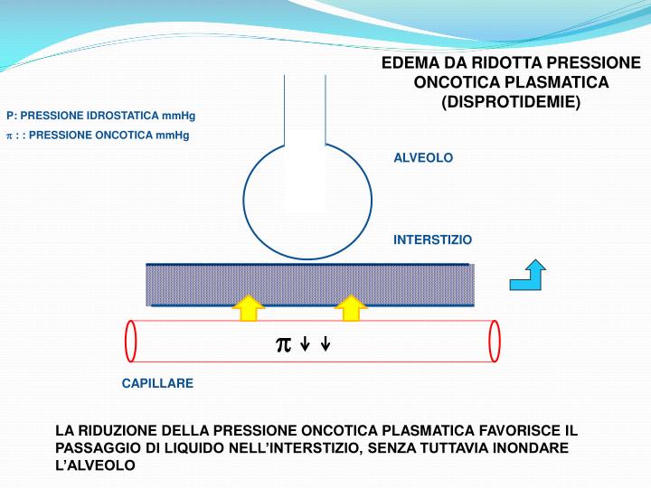 PPT - EDEMA POLMONARE PowerPoint Presentation - ID:1110160