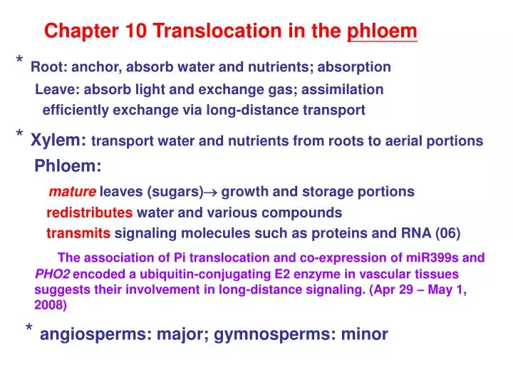 PPT - Chapter 10 Translocation in the phloem PowerPoint Presentation ...