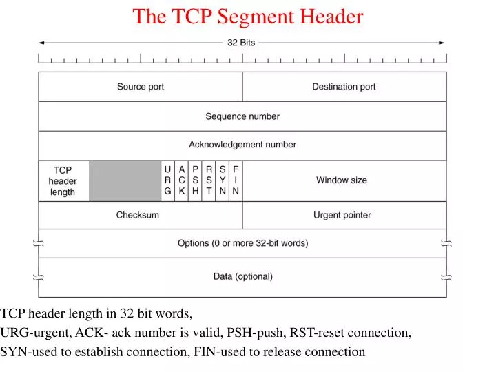 Ppt The Tcp Segment Header Powerpoint Presentation Free Download Id1110495 7168