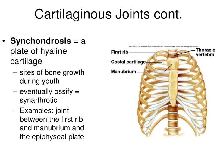 PPT - Chapter 8 PowerPoint Presentation - ID:1110675