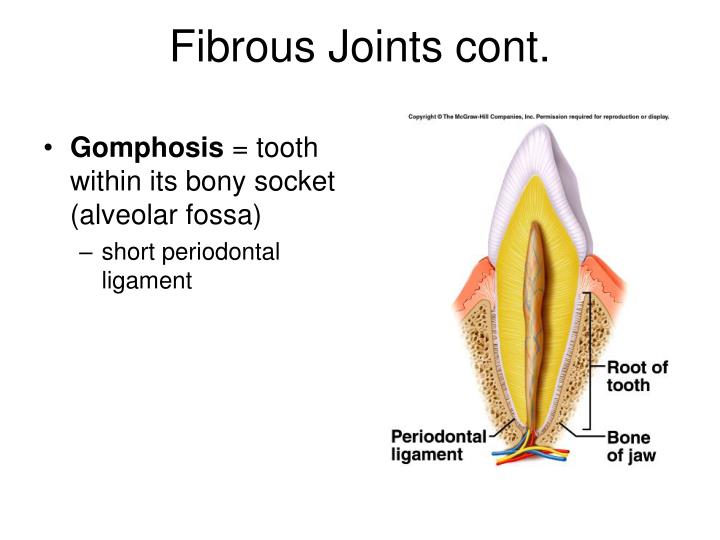 PPT - Chapter 8 PowerPoint Presentation - ID:1110675