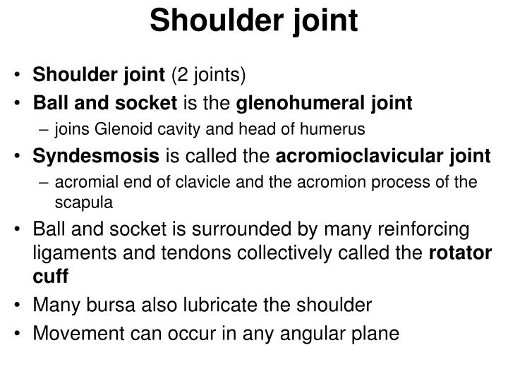 PPT - Chapter 8 PowerPoint Presentation - ID:1110675