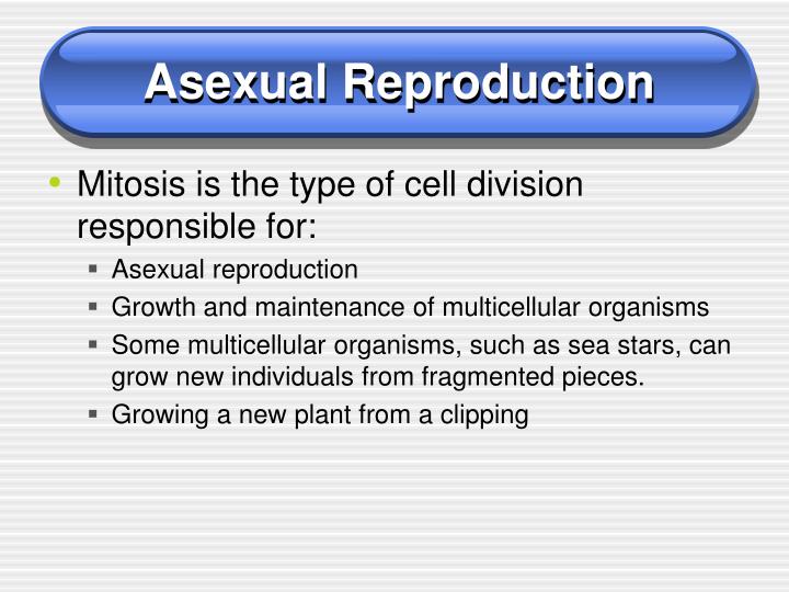 Ppt Chapter 8 Cell Reproduction Powerpoint Presentation Id 1110921