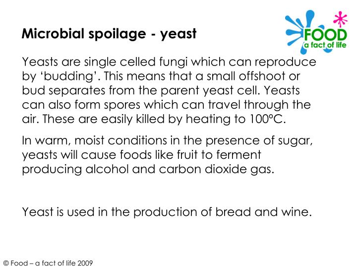 PPT - Food contamination and spoilage PowerPoint Presentation - ID:1112256