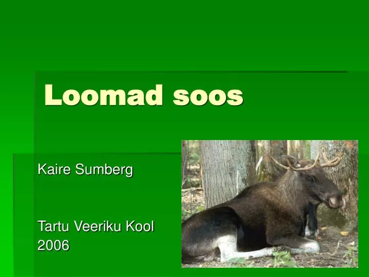 PPT - Loomad soos PowerPoint Presentation, free download - ID:1112347