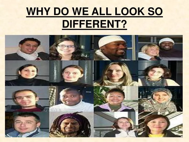PPT - WHY DO WE ALL LOOK SO DIFFERENT? PowerPoint Presentation, free ...
