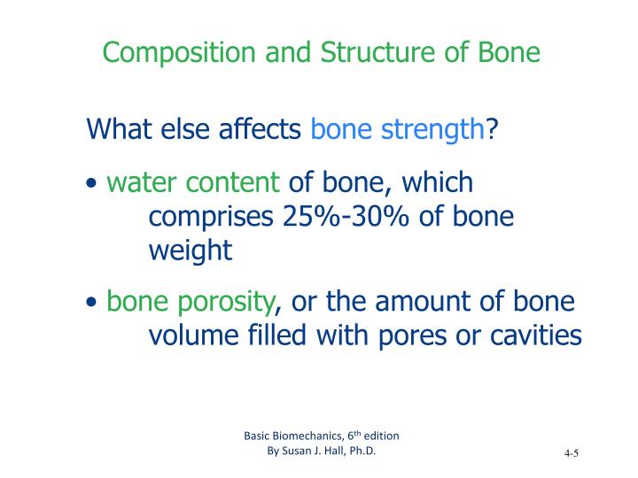 PPT - Chapter 4 The Biomechanics of Human Bone Growth and Development ...