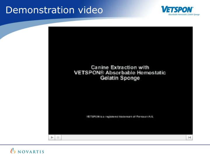 PPT - VETSPON ® Absorbable Hemostatic Gelatin Sponge PowerPoint ...