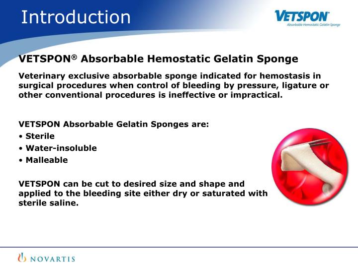 PPT - VETSPON ® Absorbable Hemostatic Gelatin Sponge PowerPoint ...