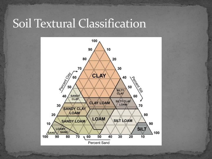 PPT - Food and Agriculture Chapter 15 PowerPoint Presentation - ID:1114691