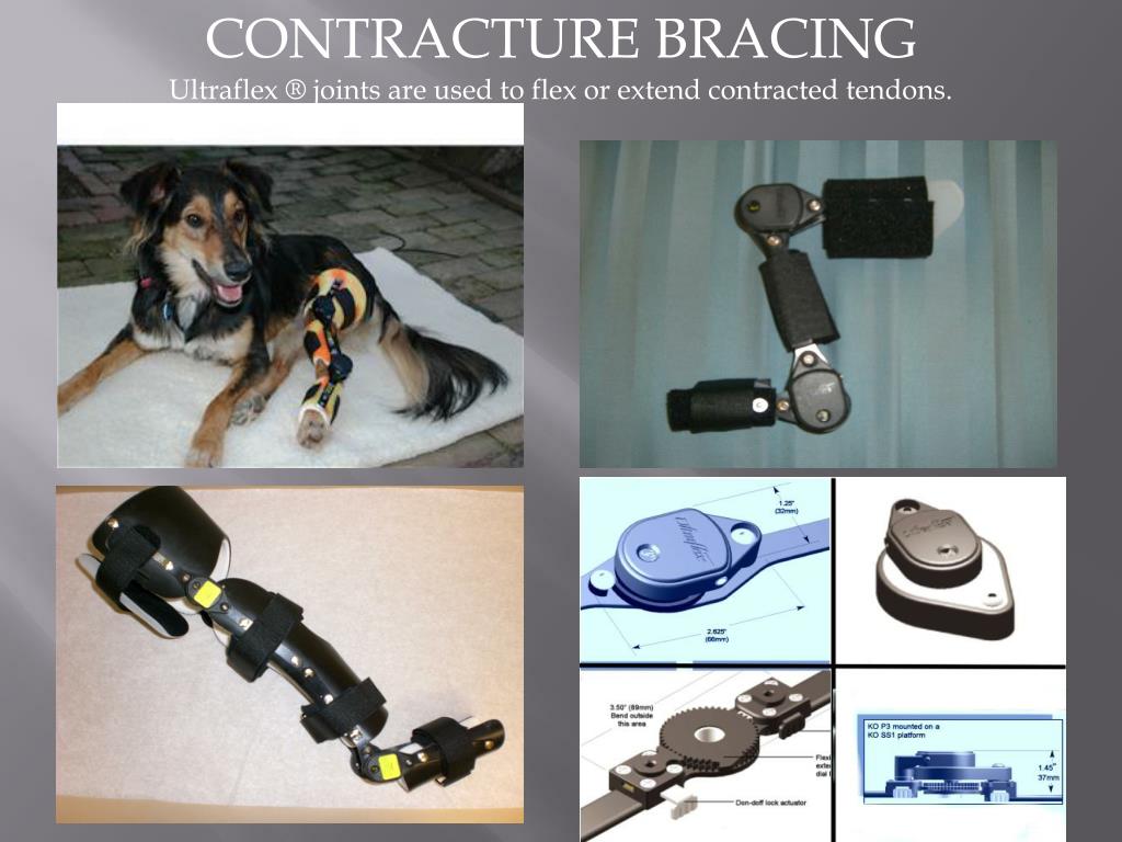 PPT - PRODUCT GUIDE DERRICK CAMPANA, CO (703) 474-6204 PowerPoint ...