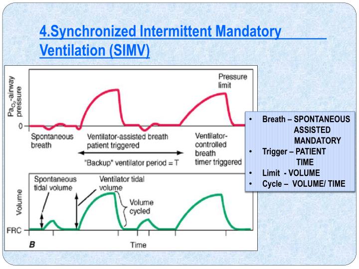 PPT - Physiology of positive pressure ventilation & newer modes of ...