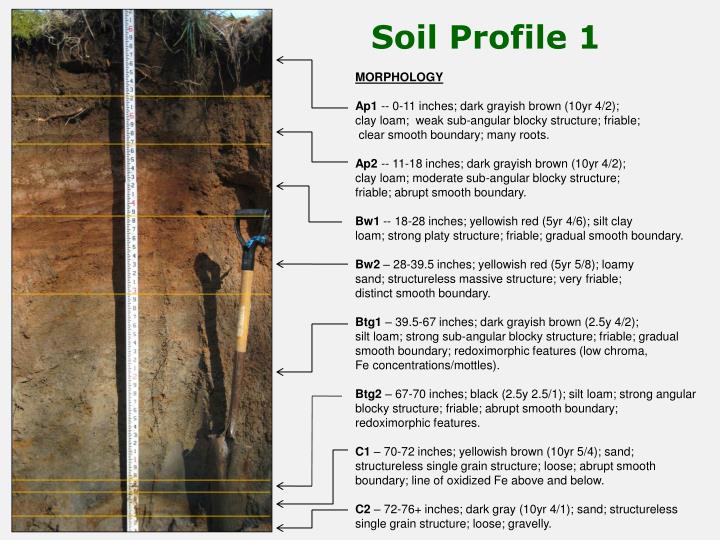 PPT - Soil Classification Comparison Hall County, Georgia PowerPoint ...