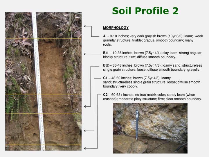 PPT - Soil Classification Comparison Hall County, Georgia PowerPoint ...