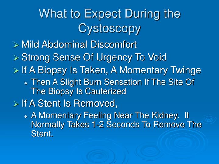 PPT - Cystoscopy Cystoscopy and Stent Removal Cystoscopy and Biopsy ...