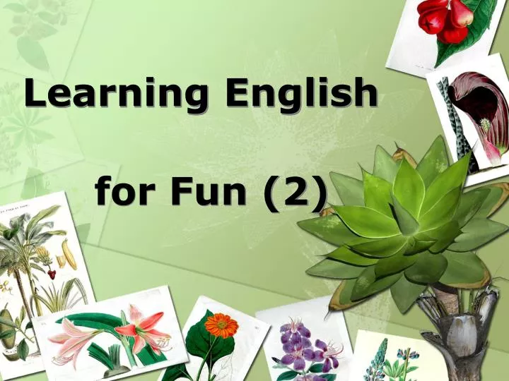PPT - Learning English PowerPoint Presentation, free download - ID:1116455