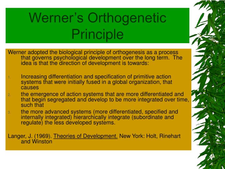 PPT - Heinz Werner PowerPoint Presentation - ID:1116990