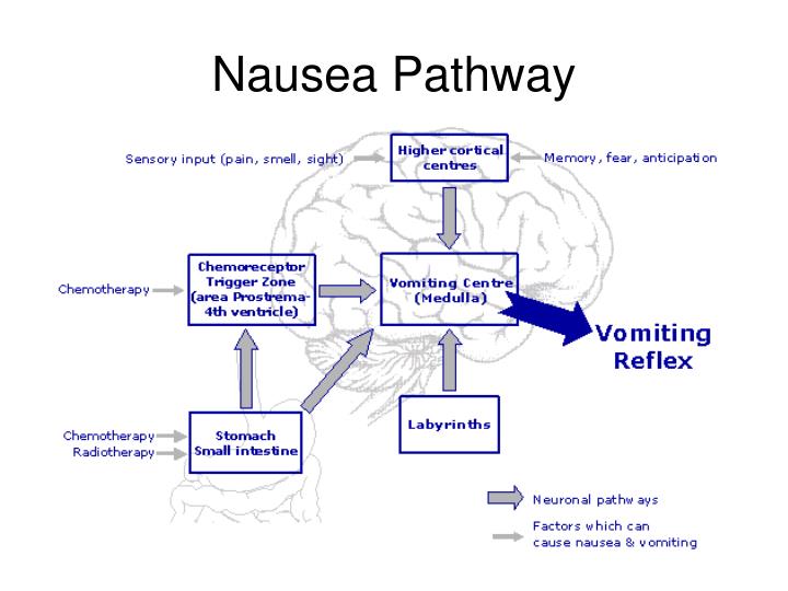 PPT - Nausea & Vomiting Palliative Care Strategies PowerPoint ...