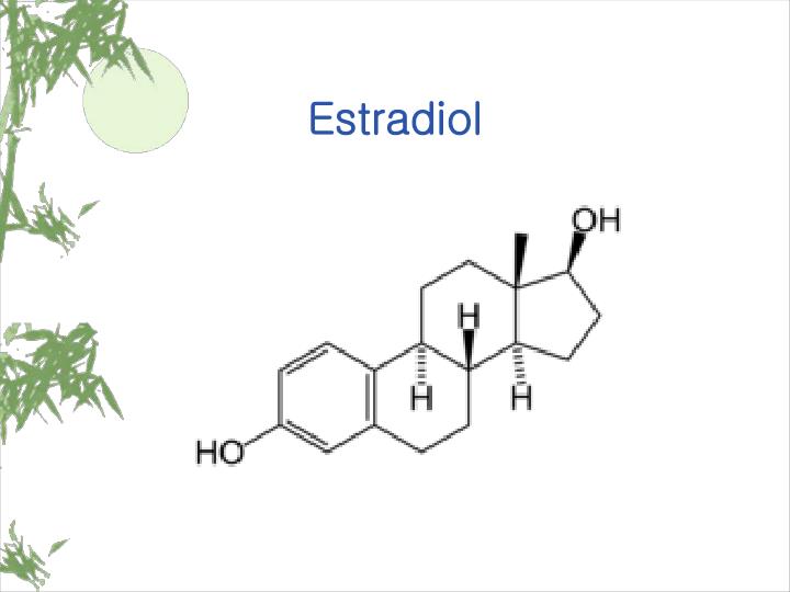 PPT - Estrogen and Progesterone PowerPoint Presentation - ID:1117193