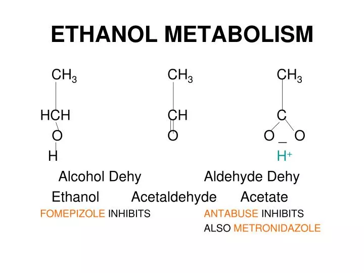 PPT - ETHANOL METABOLISM PowerPoint Presentation, free download - ID ...