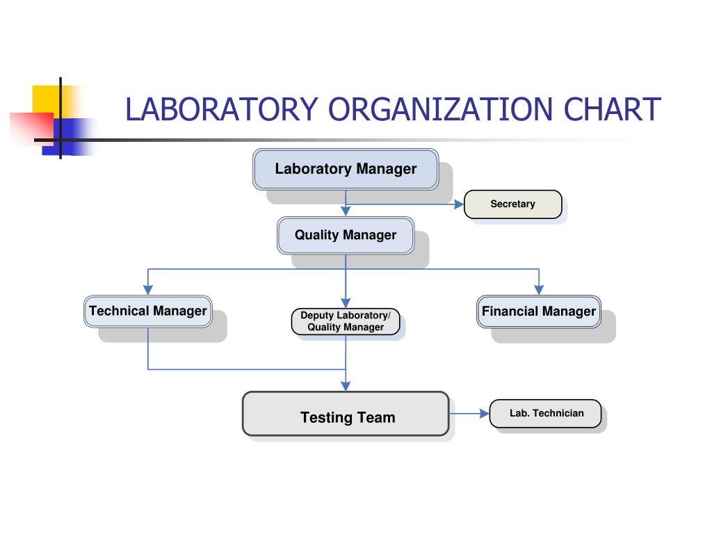 Laboratory Organization Chart Docx Laboratory Organization Chart Rebeca ... Laboratory Organization Chart Docx Laboratory Organization Chart Rebeca ...